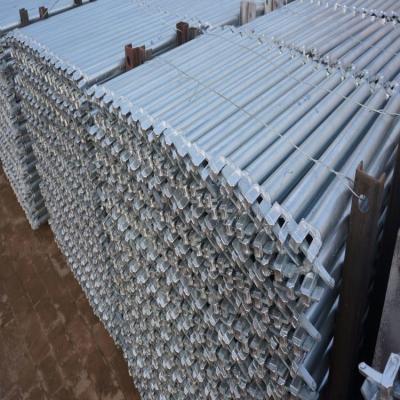 China Construction Ringlock Bridge Ledger Heavy Duty 2.5m Hot-dipped Galvanized with 3.25mm Tube Thickness Scaffolding for sale