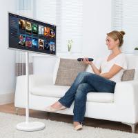China 21-Inch Portable Floor Stand Smart TV with 1080P Display, RK3566 CPU and 4+64GB Memory for Home Entertainment for sale