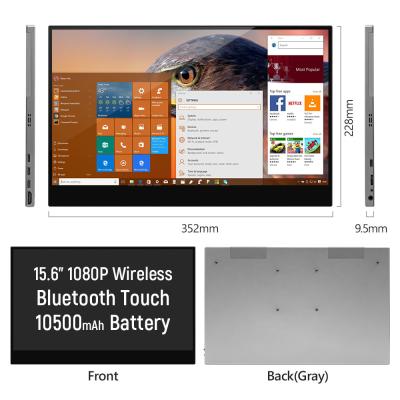 China 15.6 Inch IPS Portable Monitor 1920x1080 USB C HDMI Touchscreen for PS4 Switch for sale
