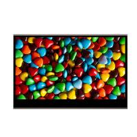 China 15.6 Inch Portable OLED Touch Screen Monitor 400 Nits 4096 Pressure Battery Powered for sale