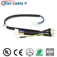 China Flag with Lock Plug Spring Terminals to Double CJT Pitch3.96mm 5Pin and Ring Terminal AC Power Input Wire Harness for sale