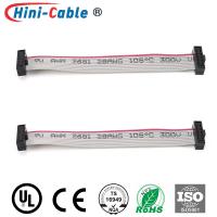 China Gray IDC Male To Male 2x5Pin 2.54 mm Pitch Ribbon Cable for sale