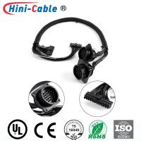 China TE 24Pin Male To MOLEX 24Pin 4.2mm Power Wire Harness for sale