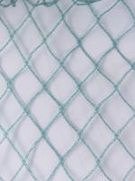 China Diamond Mesh Anti Bird Netting , HDPE Fruit Tree Bird Netting , Green for sale