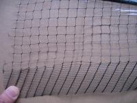 China Agriculture Animal Proof Fencing Net For Greenhouse , Mesh Size 15X15mm for sale
