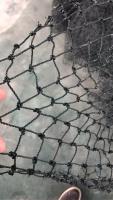 China Diamond Mesh Anti Bird Netting , HDPE Fruit Tree Bird Netting , Green for sale