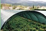 China Dark Green , Black Sun Shade Netting ，Hdpe Anti UV Agriculture Net for sale