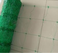 China Green Plant Support Net / Agriculture Net Hdpe With Uv , 15x17cm Mesh for sale