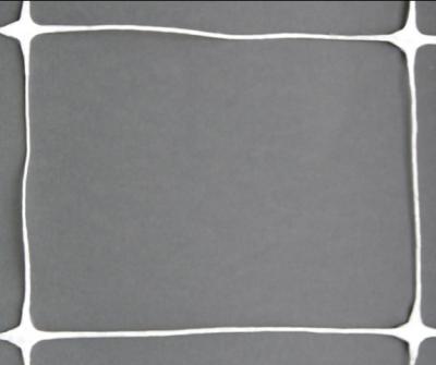China White Plant Support Netting Mesh For Pea / Bean , Hdpe Extruded Netting for sale