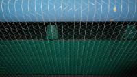 China HDPE Hay Bale Net Wrap For Agriculture , Hay Bale Netting 1.7m Width for sale