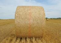 China HDPE Hay Bale Net Wrap For Agriculture , Hay Bale Netting 1.7m Width for sale