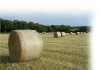 China HDPE Hay Bale Net Wrap For Agriculture , Hay Bale Netting 1.7m Width for sale