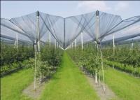 China Agriculture Anti Hail Nets for sale