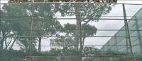 China Hdpe Raschel Knitted Windbreak Netting , Dark Green For Plants for sale