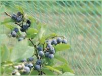 China Agricultural Anti Bird Netting for sale