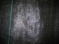 China Agriculture HDPE / PP Woven Ground Cover Fabric In Roll 100gsm for sale