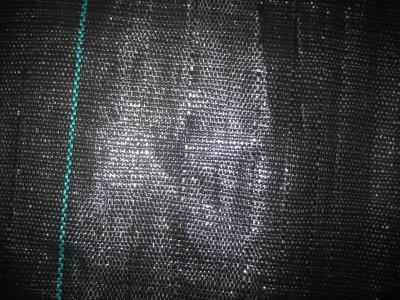 China PE / PP Woven Ground Cover Fabric for sale