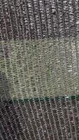 China Agriculture Aluminum Foil Hdpe Shade Net For Vegetables , Flowers for sale