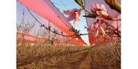 China Special Farm Red Hdpe Raschel Agriculture Shade Net For Agriculture Farms for sale