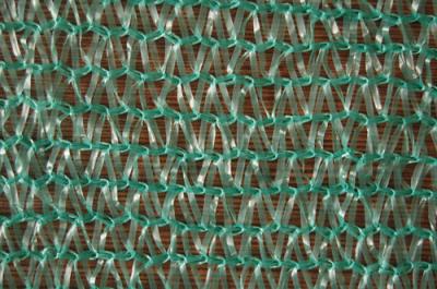 China Light Green Agriculture Shade Net anti UV with high tensile resistance for sale