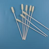 China 6mm Big Round Head Medical Sterile Oral Sampling Swab Disposable for sale