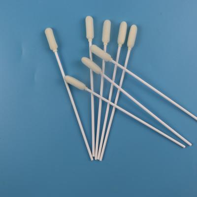 China 6mm Big Round Head Medical Sterile Oral Sampling Swab Disposable for sale