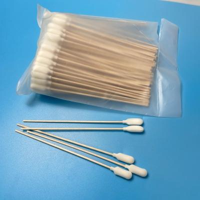 China White Round Foam Covered Head Specimen Collection Swabs Cotton Buds Wood Handle for sale