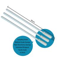 China 8cm Disposable White PP Stick Sterile Foam Tip Swab Surface Sampling Swab Oral Swab Specimen Collection Swab with Individual Packing for sale