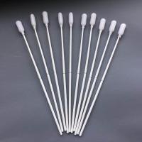China Disposable Oral Foam Swabs , Medical Foam Swabs With White PP Stick for sale