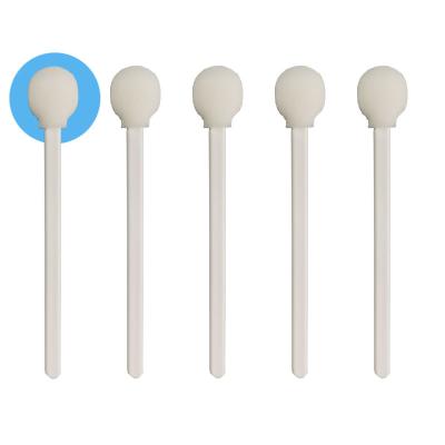 China Round Head Sponge Q Tips Medical Foam Swab White PP Stick for sale