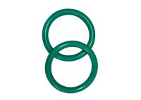 China Industrial Density GB AISI Sealing Ring Guide Ring With Different Color And Size for sale