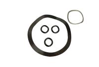 China Black E - Coating Metal Ring Gasket Curve Shape For Car Shock Absorber for sale