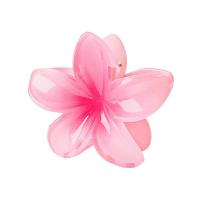 China Egg flower hair accessories all-match claw clip for sale