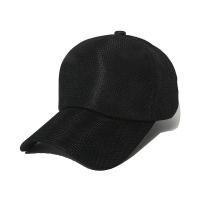 China Outdoor Fishing Cap Summer Solid Color Light Plate Mesh Breathable Baseball Cap for male for sale