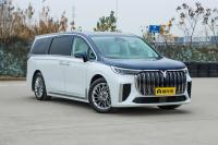 China 2023 Lantu Voyah Dreamer Dream Plus 7 Seat Mpv Electric Car Dimension 5315*1985*1820 for sale