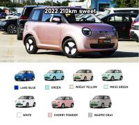 China GEELY Panda Mini Luxury Electric Vehicle with 200km Pure Electric Cruising Range for sale