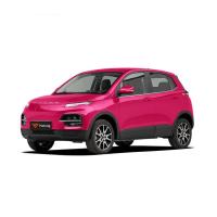 China DAYUN M1 Energy Vehicles Electric Car Adult Car Luxury 2023 Yuehu ES3 300km Long Range EV for sale