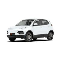 China DAYUN M1 Energy Vehicles Electric Car Adult Car Luxury 2023 Yuehu ES3 300km Long Range EV for sale