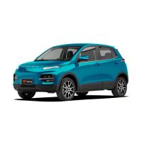 China DAYUN M1 Energy Vehicles Electric Car Adult Car Luxury 2023 Yuehu ES3 300km Long Range EV for sale