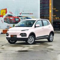 China DAYUN M1 Energy Vehicles Electric Car Adult Car Luxury 2023 Yuehu ES3 300km Long Range EV for sale