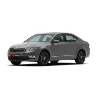 China Skoda KAROQ OCTAVIA 2 3 A7 used cars in Gas Vehicle Petrol Cars 2021 2022 2023 2024 for sale