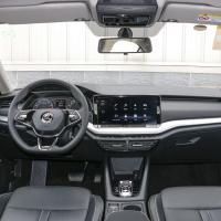 China Skoda KAROQ OCTAVIA 2 3 A7 used cars in Gas Vehicle Petrol Cars 2021 2022 2023 2024 for sale