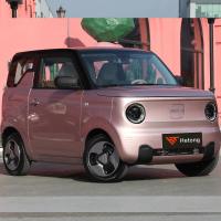 China GEELY Panda Mini Electric 4 Seats Small Car Energy Vehicle Maximum speed km/h 115 Red/Blue for sale