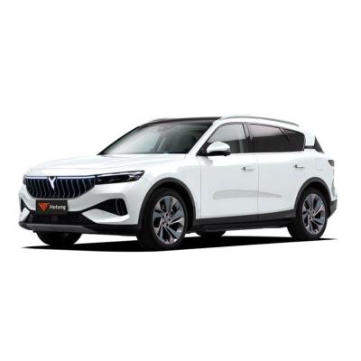 China VOYAH voyah suv electric car with 5 Seats and Fast Charge Time of 3-5h Ready to Ship for sale