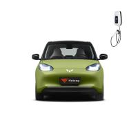 China 27kw Maximum Power 203km Range Wuling Binguo 203 Small Energy Pure Electric Mini EV Car for sale