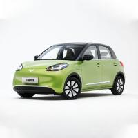 China 27kw Maximum Power 203km Range Wuling Binguo 203 Small Energy Pure Electric Mini EV Car for sale