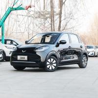 China 27kw Maximum Power 203km Range Wuling Binguo 203 Small Energy Pure Electric Mini EV Car for sale