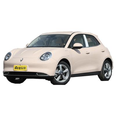 China Haomao Mini Electric Car Ora's 401km Range Special Energy Vehicle for Adult Drivers for sale