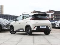 China Byd Seagull Haiou Hatchback Electric Car For Adults 5 Seats Max Speed 150 Km/h Now for sale