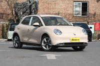 China Oula Haomao Mini Baby Electric Car Ora Good Cat 4 Wheel Vehicle 1740 Curb Weight for sale